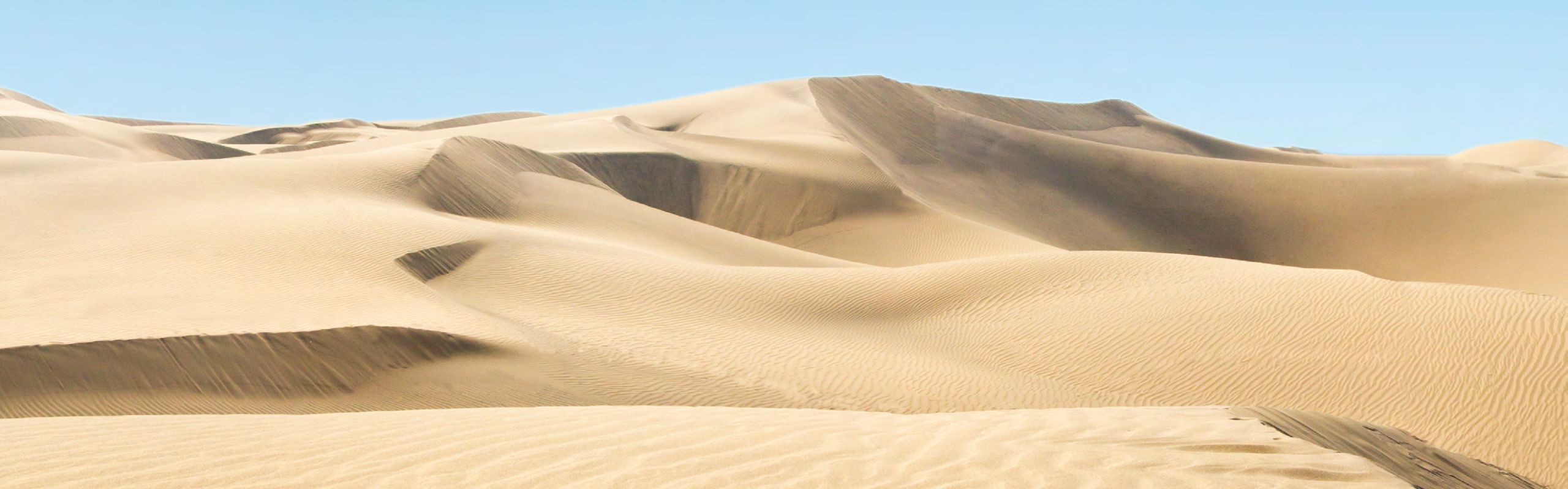 Homepage | Fragomen, Del Rey, Bernsen & Loewy LLP