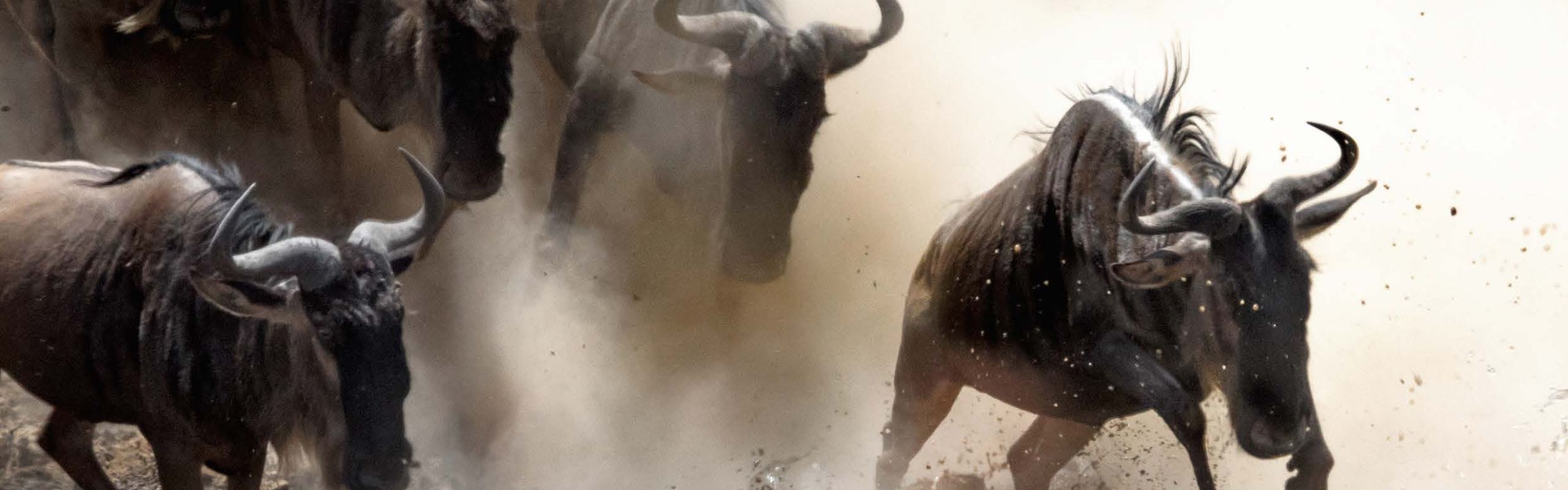 Worldwide Immigration Trends Reports | Fragomen, Del Rey, Bernsen ...