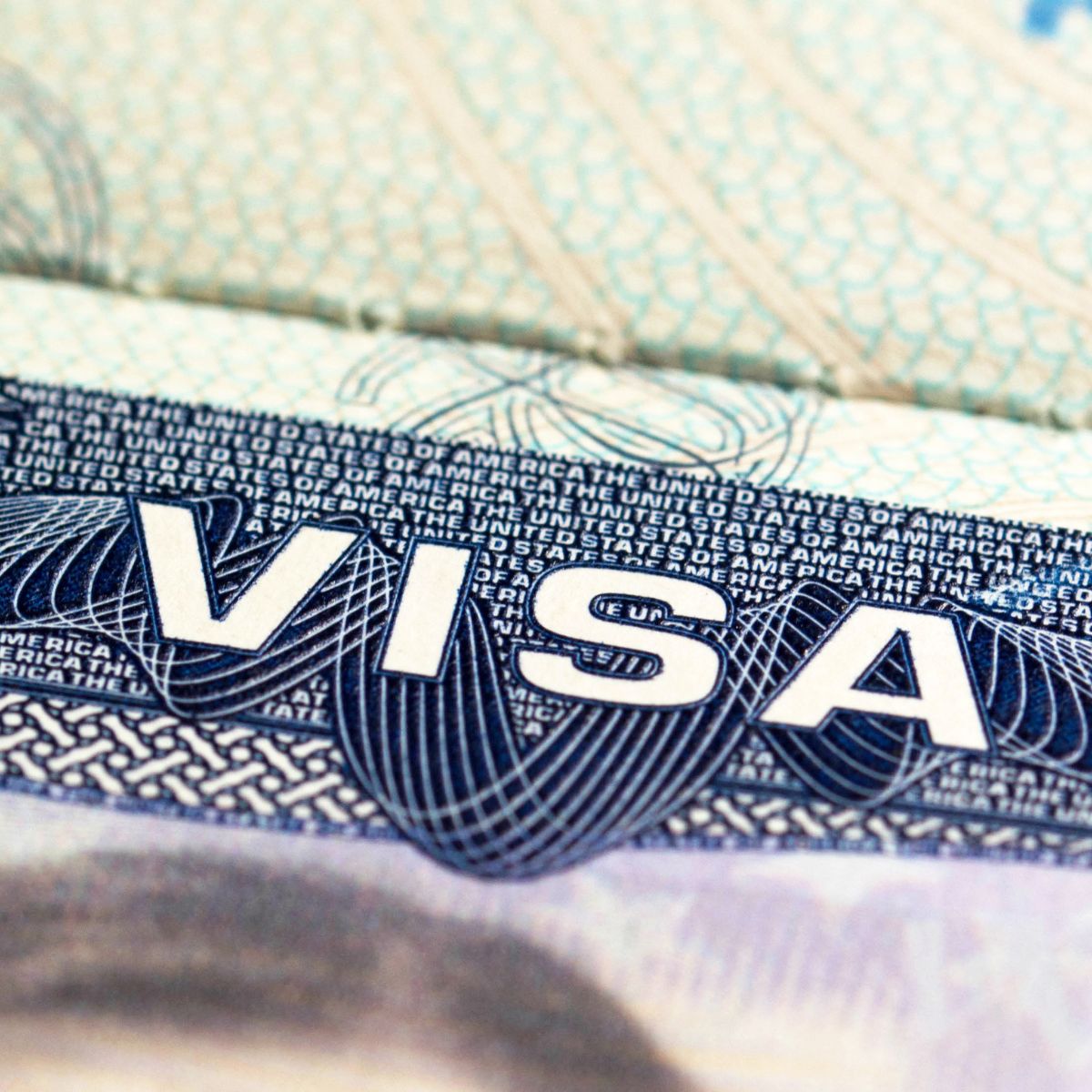 Park Evaluations: Attorney Spotlight with Aaron Blumberg | Fragomen ...