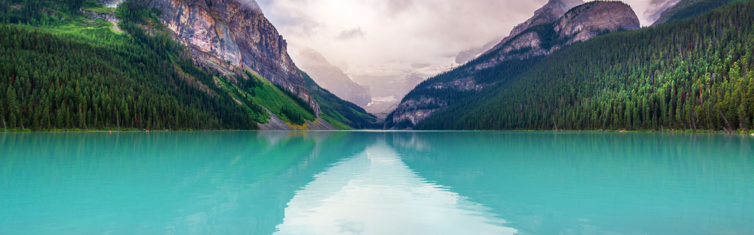 Homepage | Fragomen - French Website